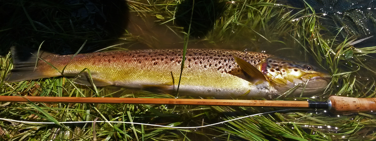 Kezdőlap | Imre Tibor Rods