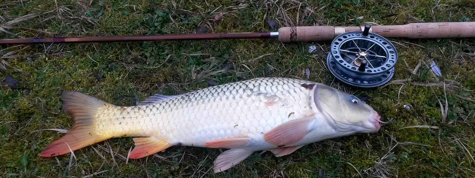 Kezdőlap | Imre Tibor Rods