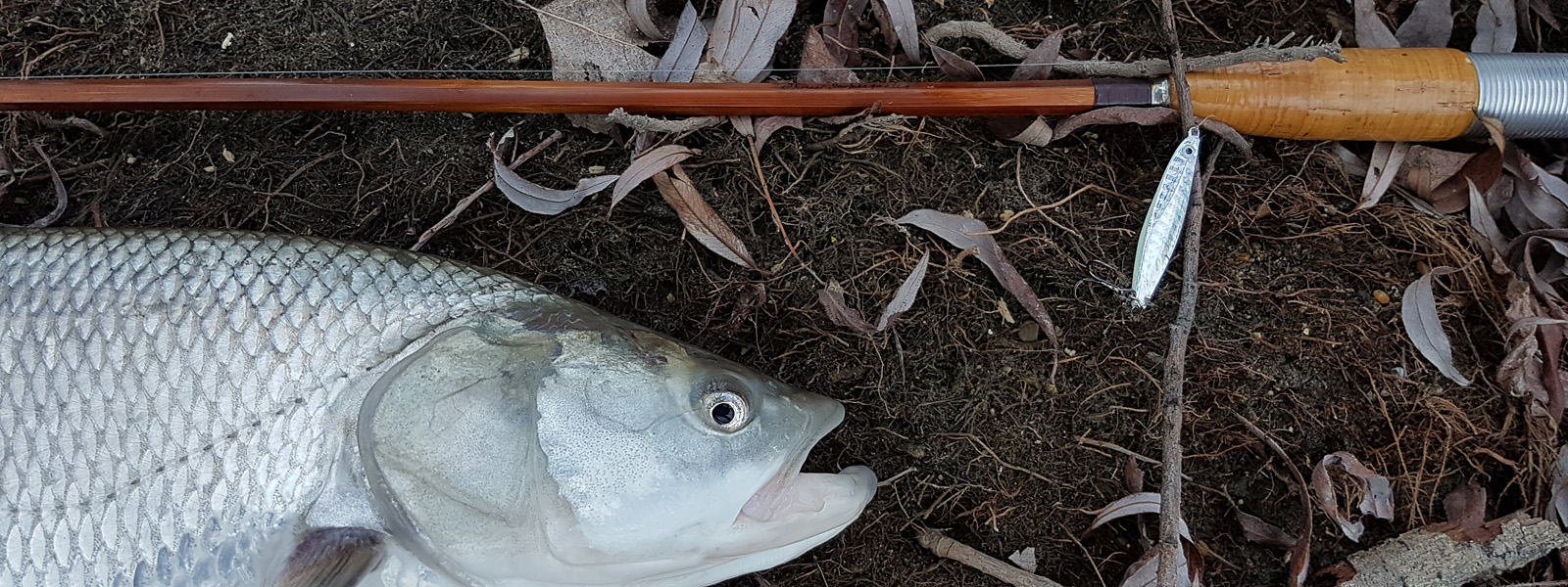 Kezdőlap | Imre Tibor Rods