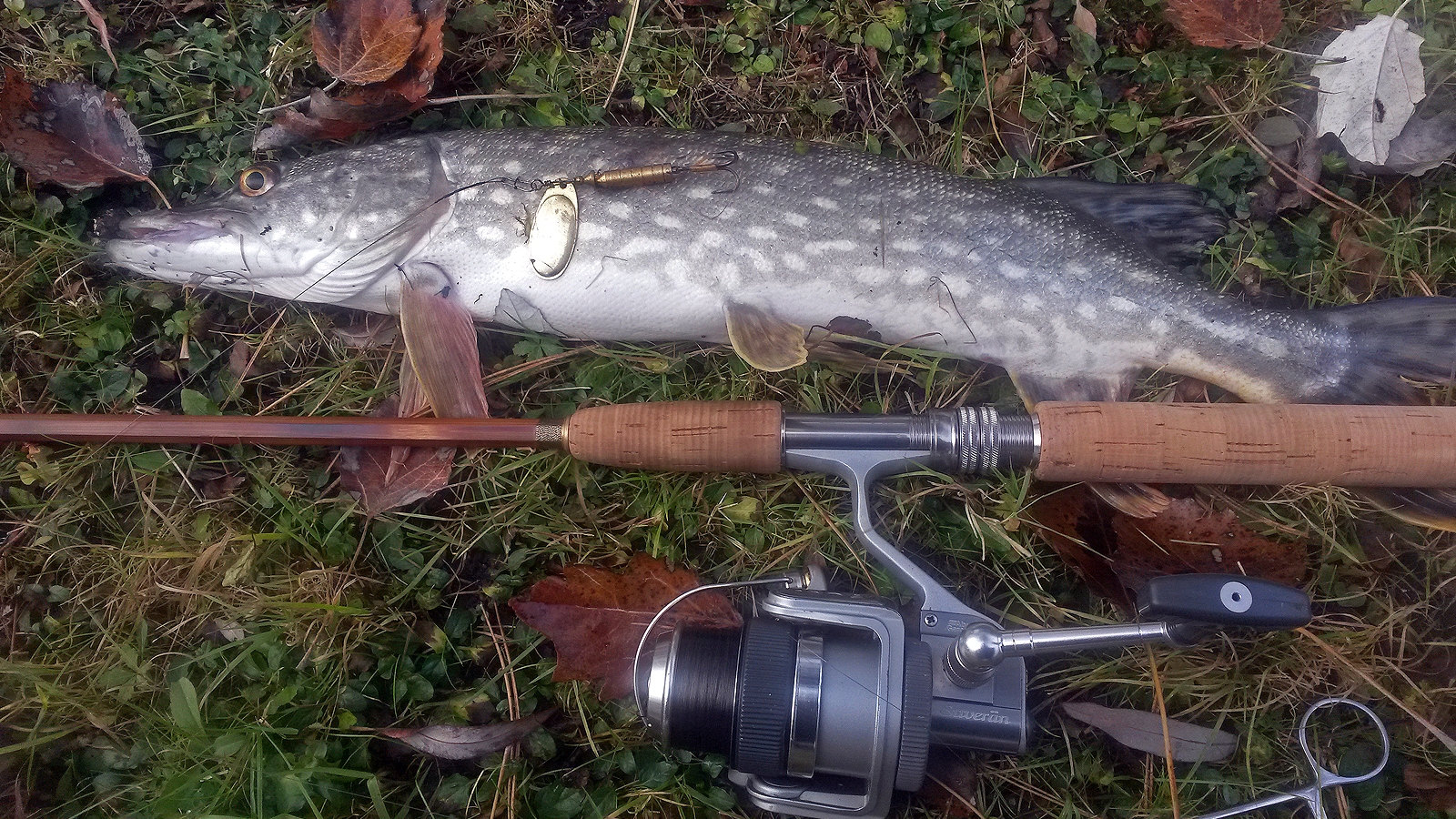 Pergető Botok | Imre Tibor Rods